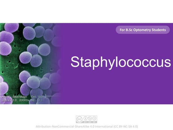 Module6a cocci-120620065452-phpapp01 | PPT