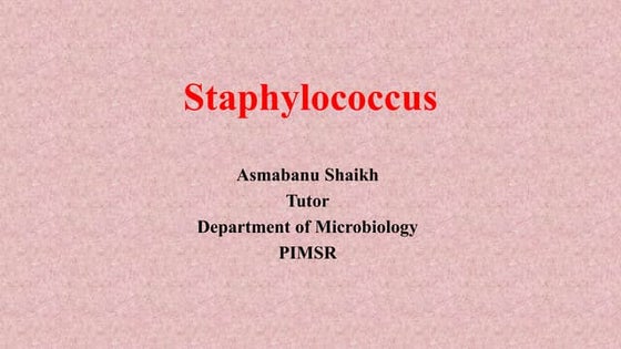 Staphylococcus aureus | PPT