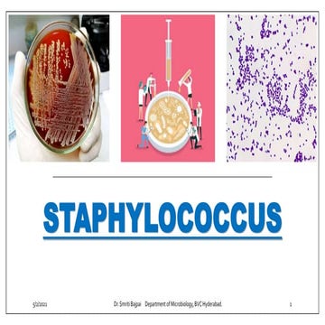 Staphylococcus.pptx