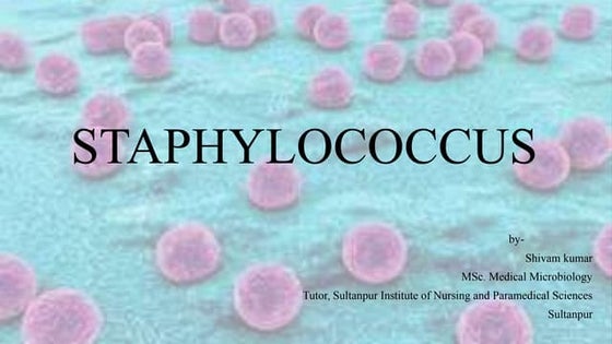 Staphylococcus aureus - Jahnvi arora (11228108) , mmdu, mullana .pptx