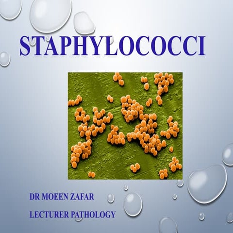 Staphylococcus | PPTX