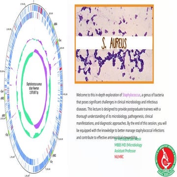 MRSA (Methicillin resistant staphylococcus aureus) | PPTX