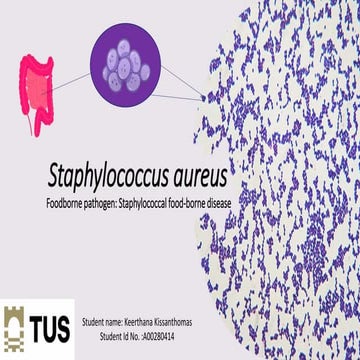 Staphylococcus aureas (1).pptx