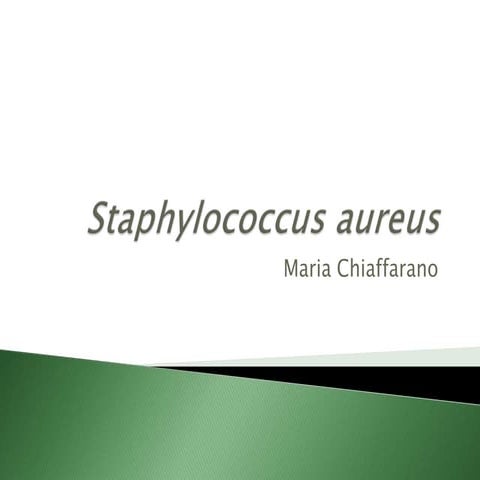 Staphylococcus aureus | PPTX