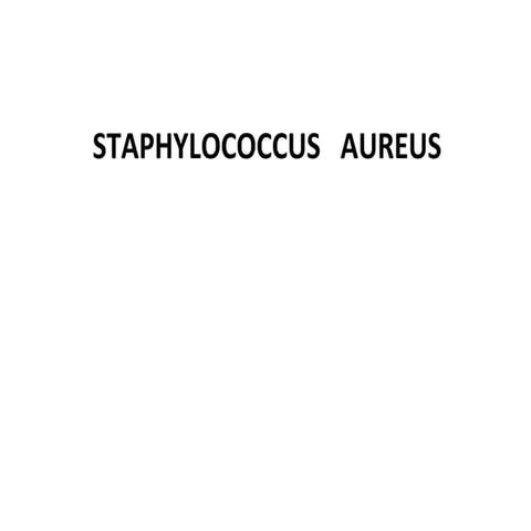 Staphylococcus aureus | PPT