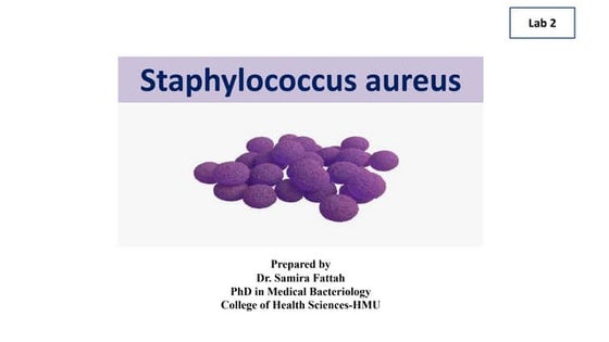 Proteus spp lecture | PPTX