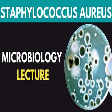 Staphylococcus Aureus Bacteria Microbiology Lecture | PPT