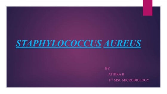 Staphylococcus aureus | PPT
