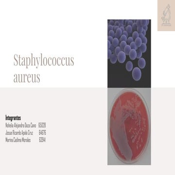 Staphylococcus Aureus Información, Historia, Biografía Y Más. – OPHL