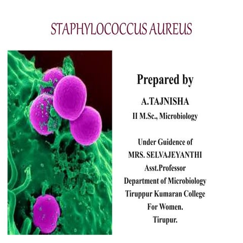 Staphylococcus aureus | PPTX