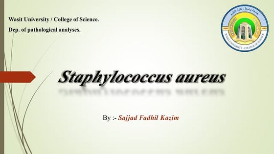 staphylococcus full notes (microbiology) | PDF
