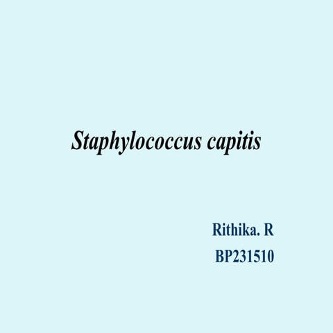 Staphylococcus Capitis Bacteria 1 Pptx