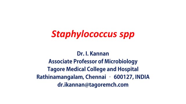 Staphylococcus streptococcus their toxins, diagnosis and treatment | PPTX
