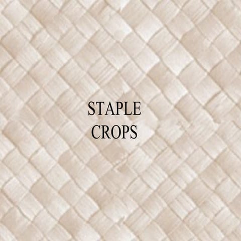 Staple crops | PPT