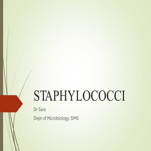 Staphylococcus | PPTX