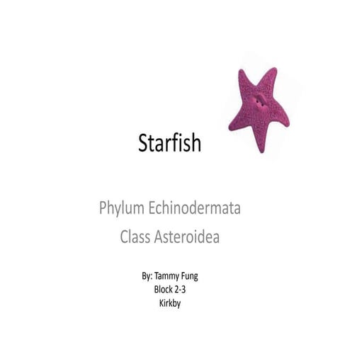 Starfish Children's Book Project | PPTX | Biological Sciences | Science