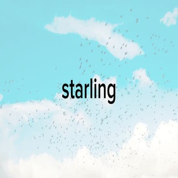 starling social app case study | PDF