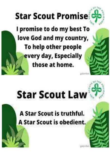 Girl Scout promise and law.docx
