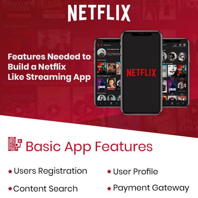 Start a Streaming Service Like Netflix | A Billion Dollar Opportunity | PDF