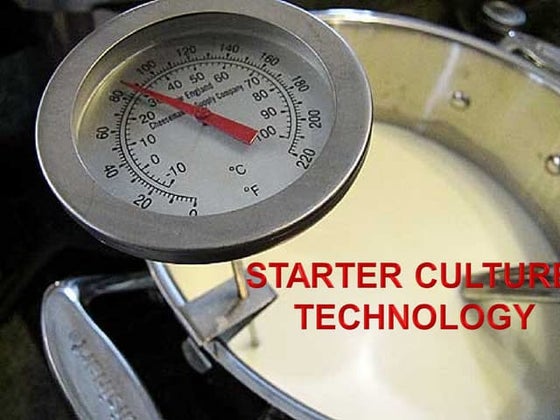Starter Culture | PPT