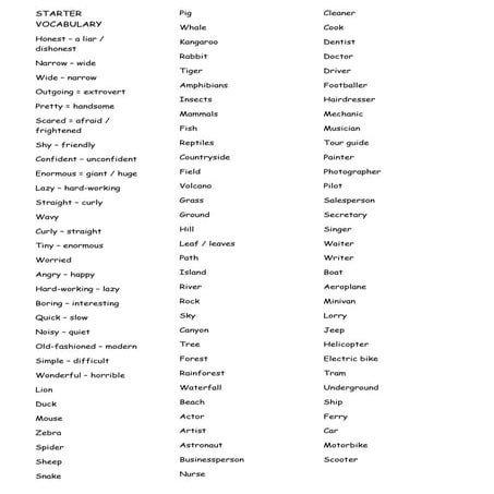 STARTER VOCABULARY.docx