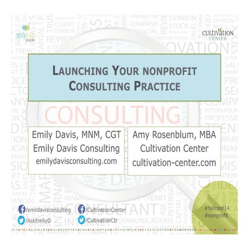 Launching your Nonprofit Consulting Practice | PDF