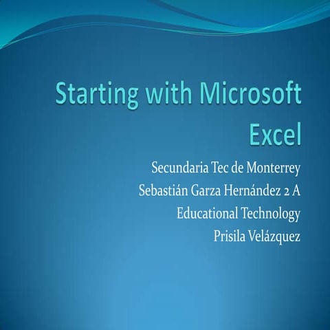 The microsoft excel 2007 | PPT
