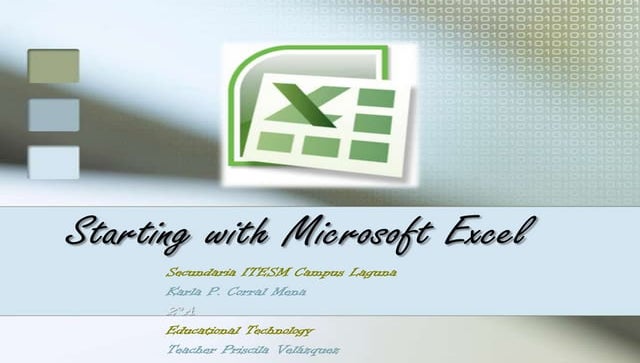 Microsoft Excel 2007 Logo