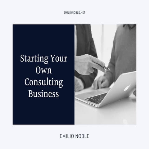 Starting your own consulting business -e.n | PDF