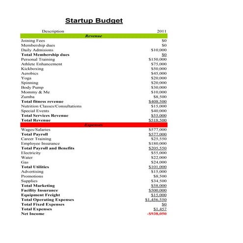 Startup Budget Finalized | PDF