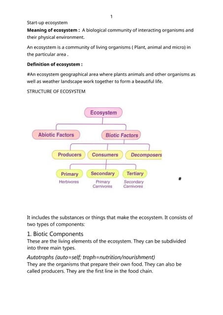 The-Startup-Ecosystem-An-Overview (1).pptx