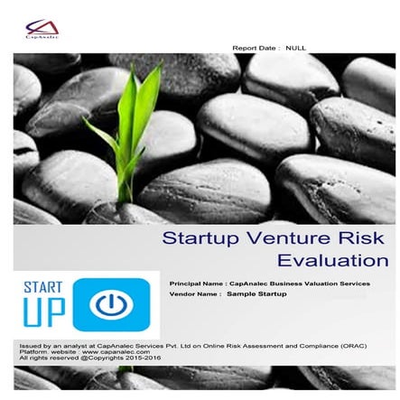 Startup Financial Viability Trial Assessment Report | PDF