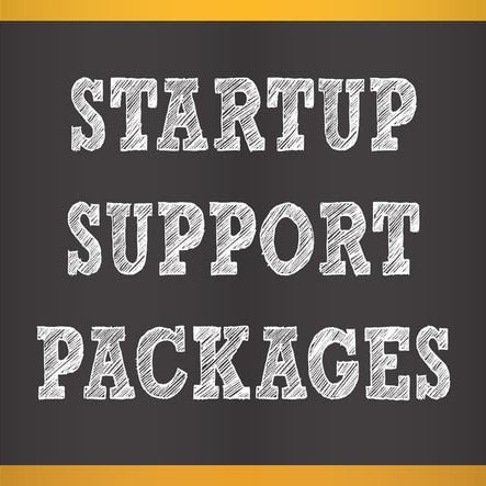 Startup support packages | PPT