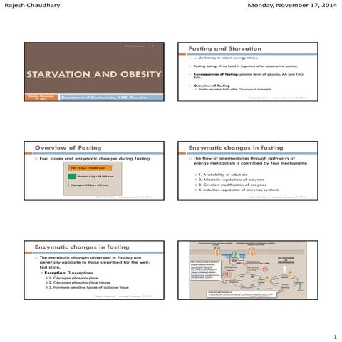 Starvation and obesity | PDF