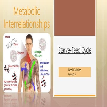 FEED FAST CYCLE DETAILS. METABOLISM IN WEL FED AND FASTING STATE | PPTX