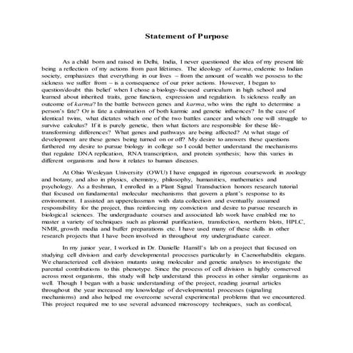 statement of purpose example 06.doc