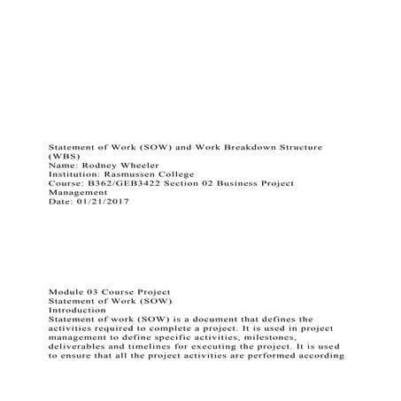 Statement of Work (SOW) and Work Breakdown Str.docx