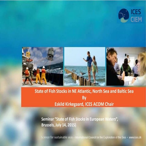 State of fish stocks in the Northeast Atlantic, the North Sea and the ...