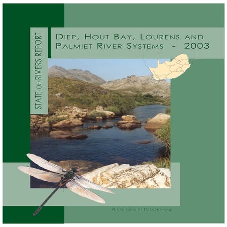 State of rivers_report | PDF