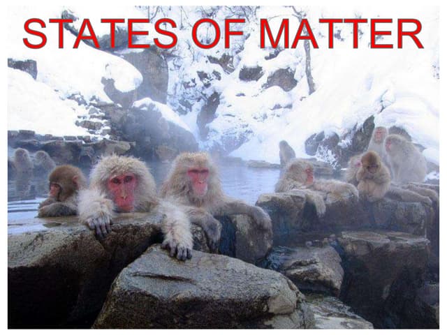 Grade 3 Matter. Solid, liquid and gas are the three states of matter | PPTX