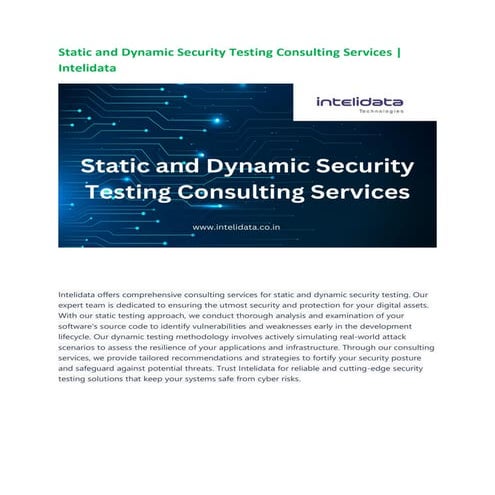 Static and Dynamic Security Testing Consulting Services PDF.pdf