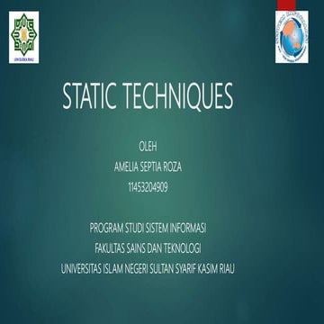Chapter 3 Static Techniques | PPTX