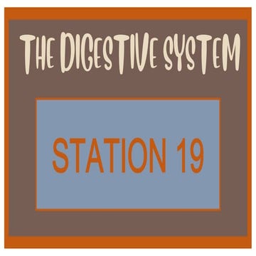 Station 19 digestive system | PPT