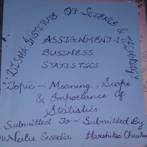 Statistics assignment | PPTX