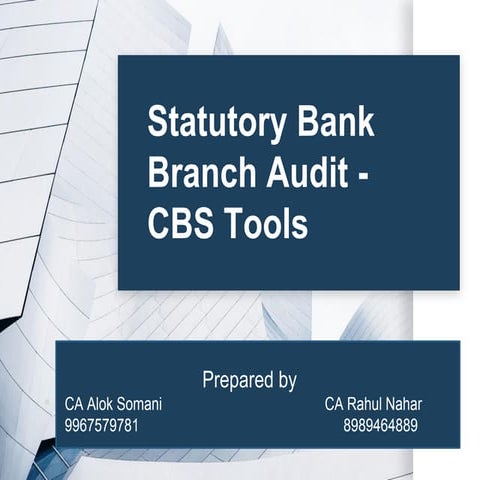 Basics of Bank Audit in CBS environment- | PDF