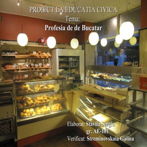 Stavila sergiu - bucatar | PDF