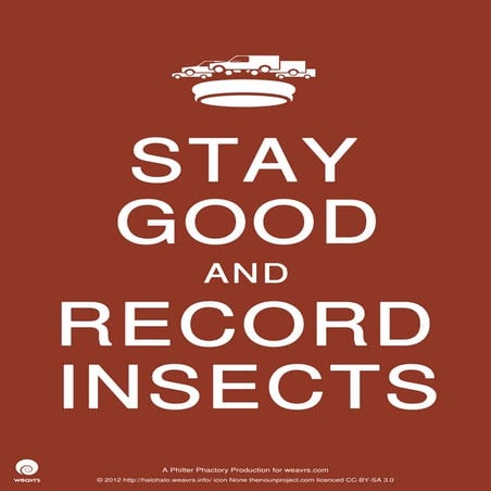 Stay good and record insect 796065 | PDF