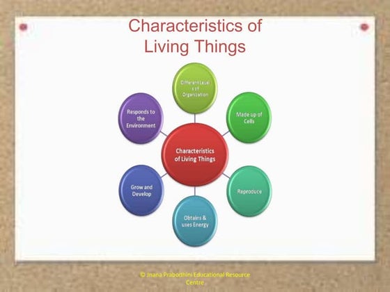 Review Unit 3 Living things 1 ESO | PPT