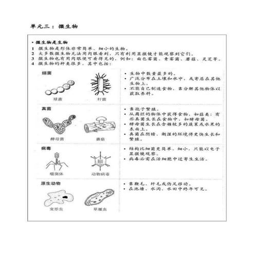Std6 science notes | PDF
