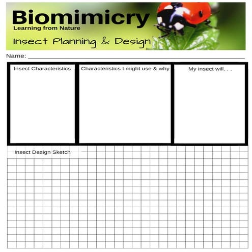 Steam biomimicry insect robot planning sheet | PDF